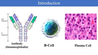 Antibody structure and functions | PDF | Infectious Diseases | Diseases ...