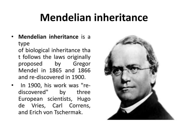 introductory genetics | PPTX