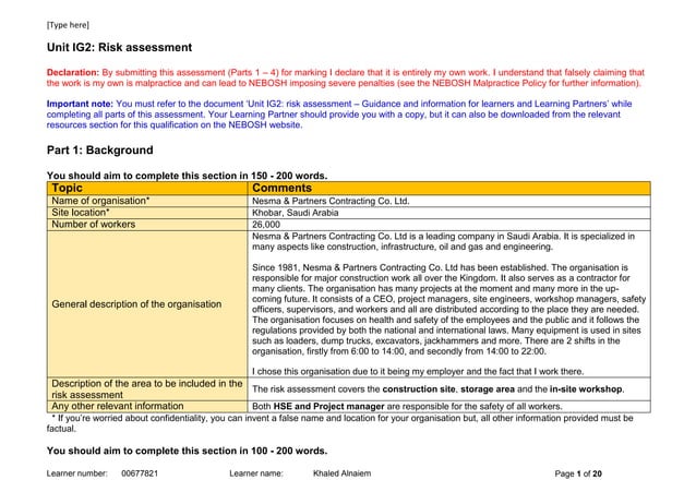 IG2 Risk Assessment.for any copany .docx | Medical Health