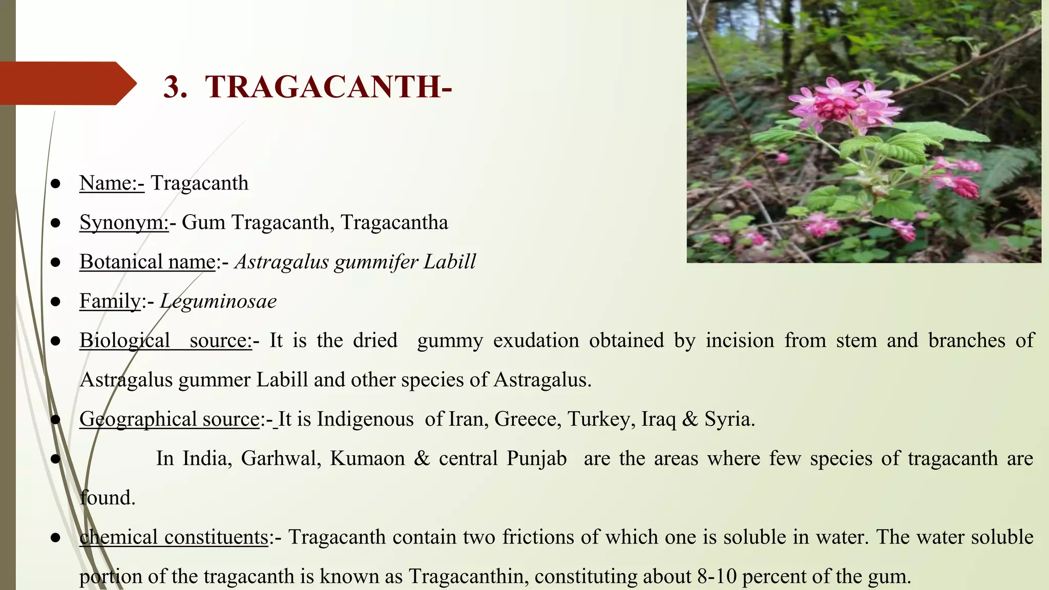 PRIMARY METABOLITES | PPTX | Chemistry | Science