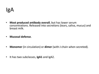 IGA Nephropathy | PPTX