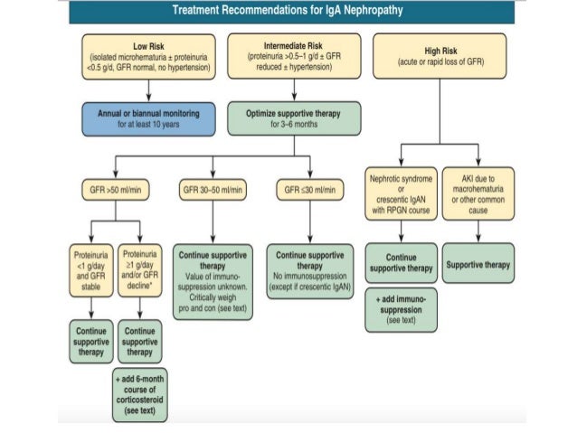 Iga Nephropathy Guidelines: Guidelines Summary – SYGMCR