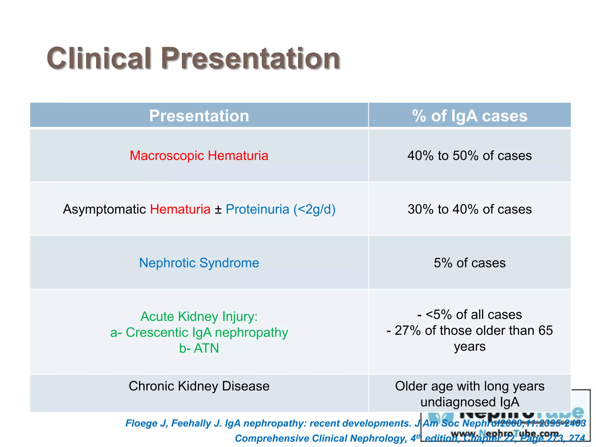 IgA NEPHROPATHY (CLOSING THE LOOP) - Dr. Gawad | PPTX
