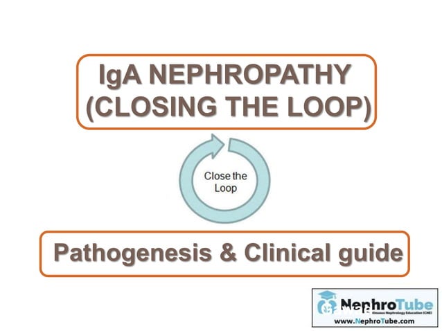 IgA NEPHROPATHY (CLOSING THE LOOP) - Dr. Gawad | PPTX