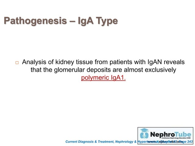 IgA NEPHROPATHY (CLOSING THE LOOP) - Dr. Gawad | PPTX