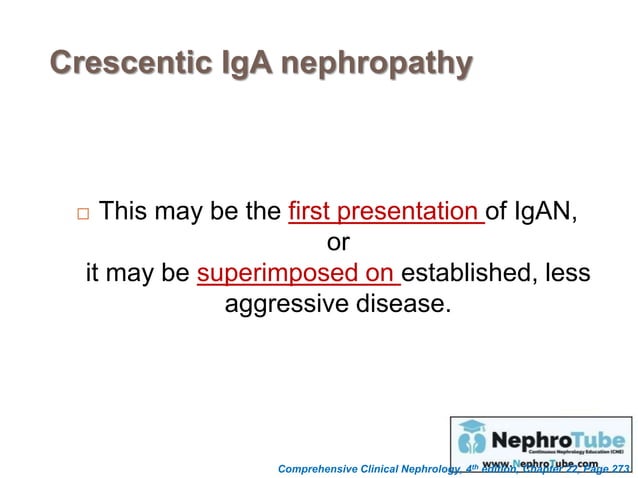 IgA NEPHROPATHY (CLOSING THE LOOP) - Dr. Gawad | PPTX