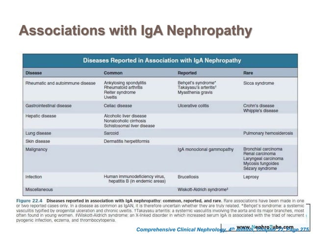 IgA NEPHROPATHY (CLOSING THE LOOP) - Dr. Gawad | PPTX