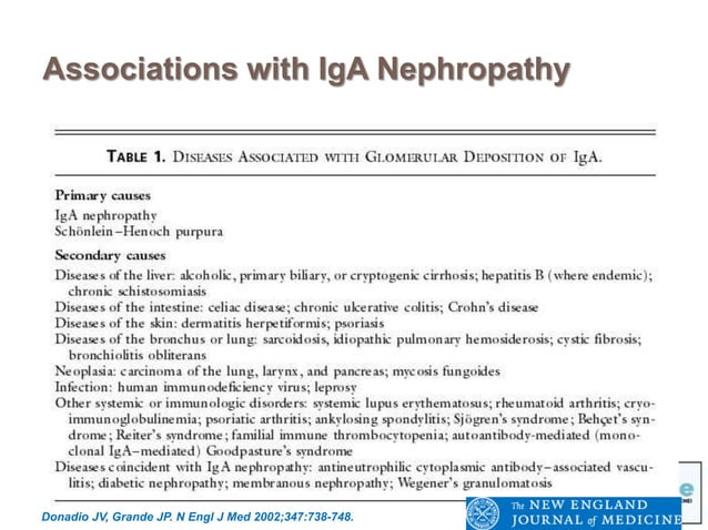IgA NEPHROPATHY (CLOSING THE LOOP) - Dr. Gawad | PPTX