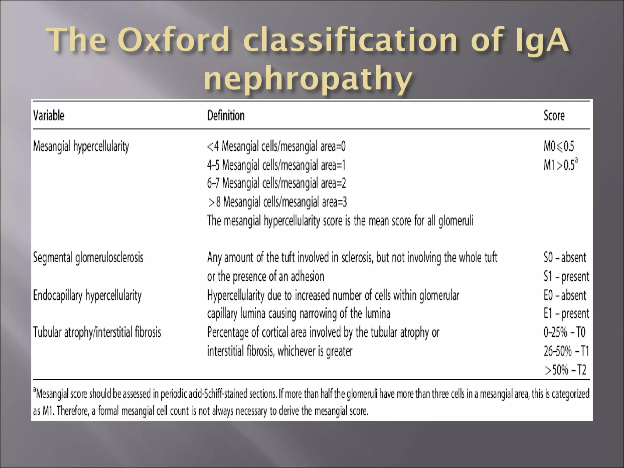 IgA nephropathy | PPT
