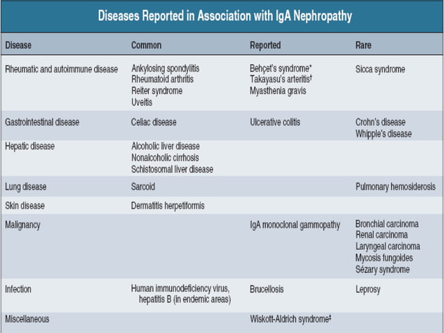 IgA nephropathy | PPT
