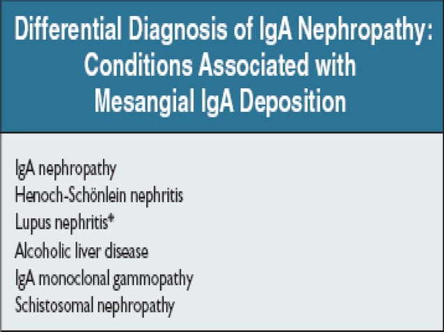 IgA nephropathy | PPT