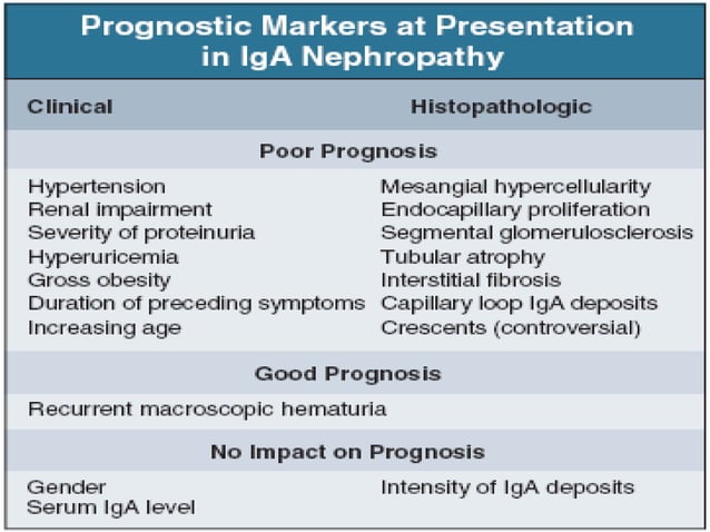 IgA nephropathy | PPT