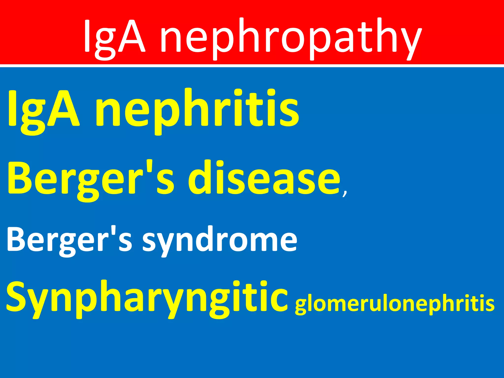 Ig a nephropathy | PPT