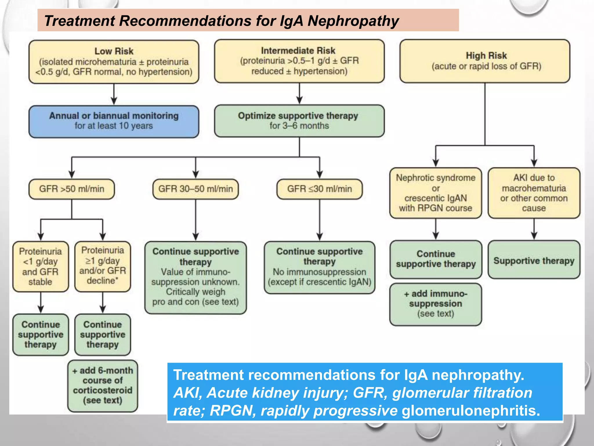 Ig A nephropathy | PPTX