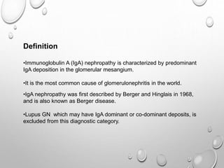 Ig A nephropathy | PPTX