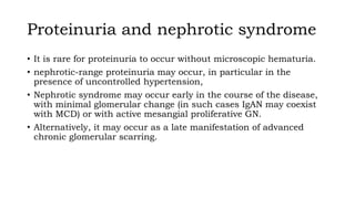 IgA nephropathy | PPTX