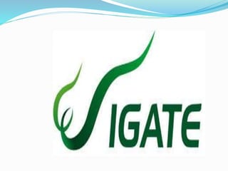 Igate corporate-presentation-an-overview-of-the-company-and-its ...