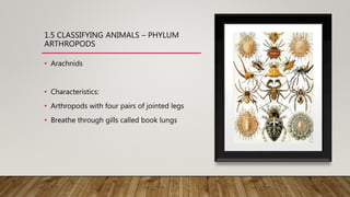 Ig biology content 1 | PPT