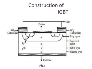 IGBTprofessionalmaganementAssistantco.pdf