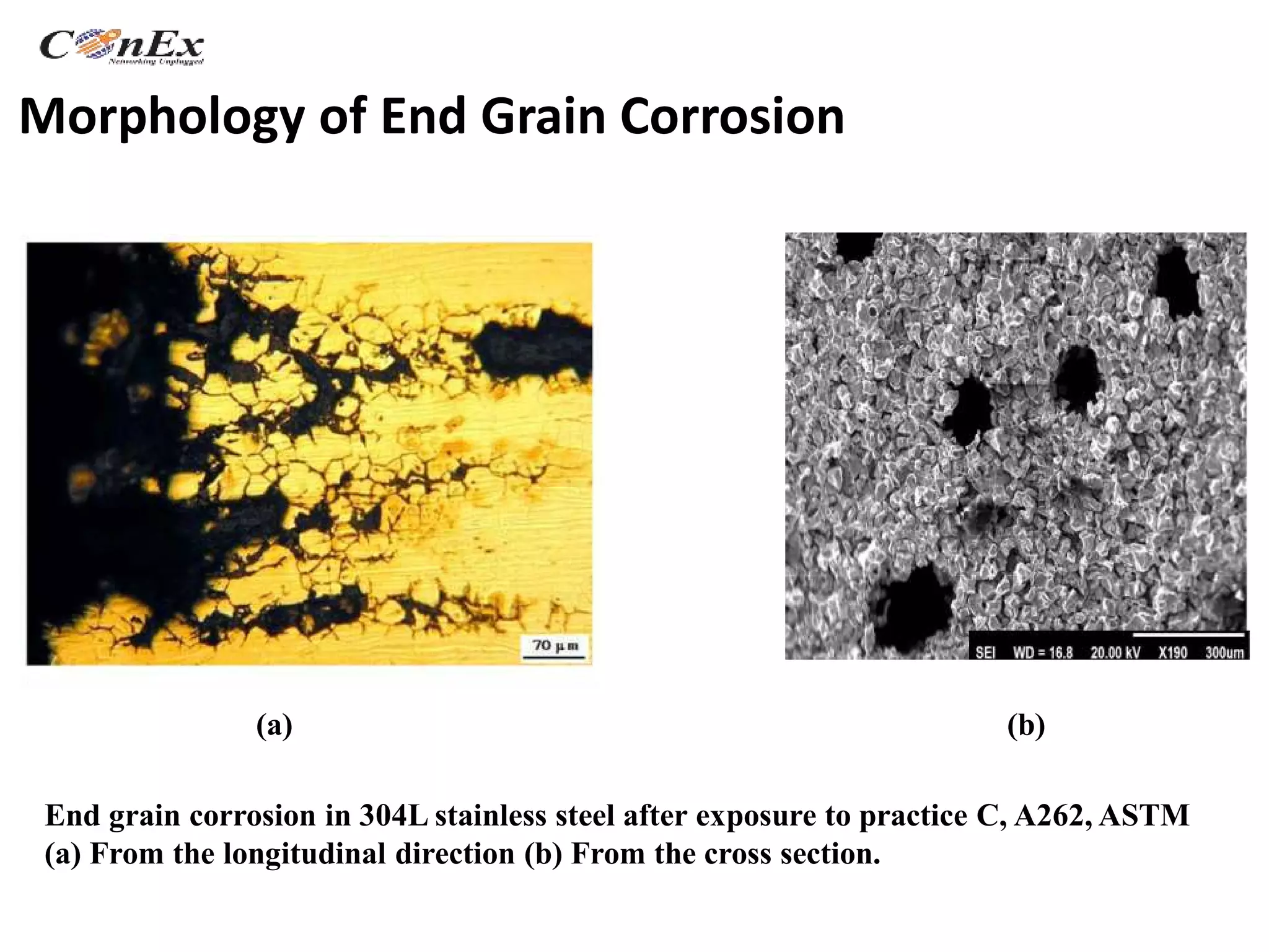 Intergranular corrosion in SS tubes | PDF