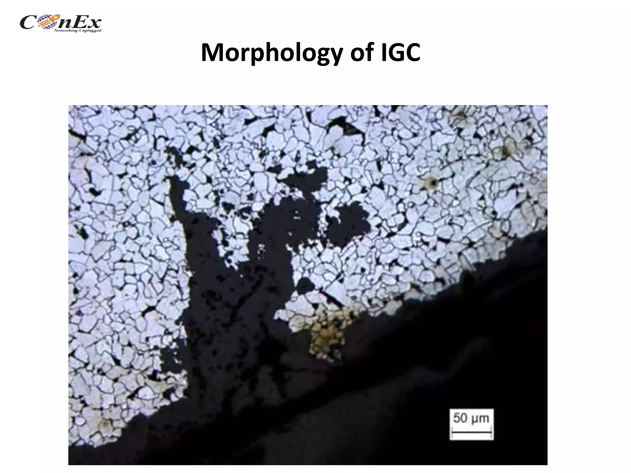 Intergranular corrosion in SS tubes | PDF
