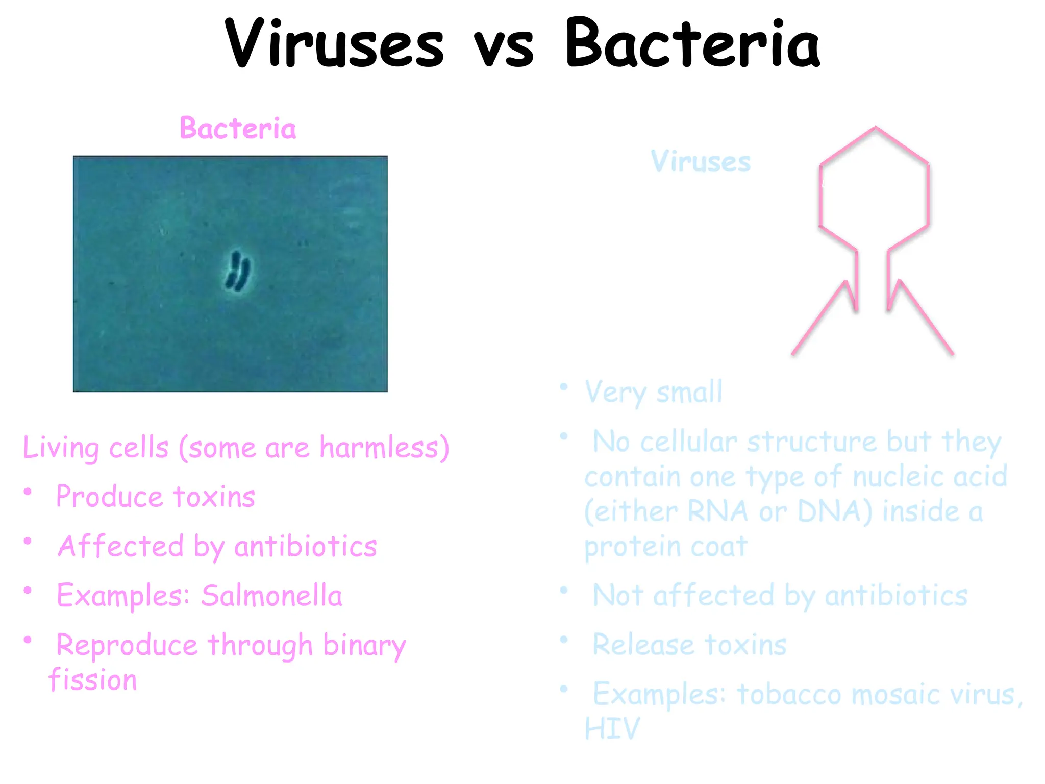 iGCSE-EdExcel-9-1-Biology-topic-1---The-Nature-and-Variety-of-Living ...