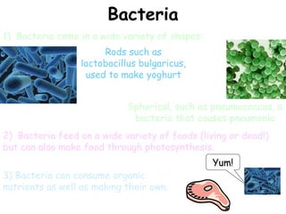 iGCSE-EdExcel-9-1-Biology-topic-1---The-Nature-and-Variety-of-Living ...
