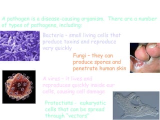 iGCSE-EdExcel-9-1-Biology-topic-1---The-Nature-and-Variety-of-Living ...