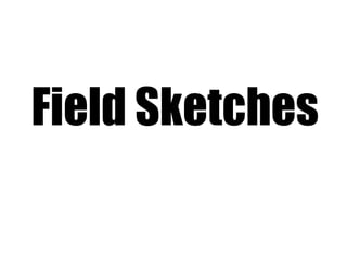 IGCSE Geography - Fieldwork Data Presentation | PPT