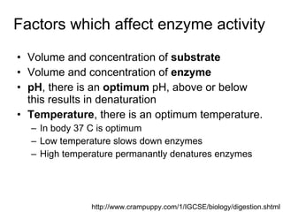 Igcse2010 fernando enzymes | PPS | Chemistry | Science