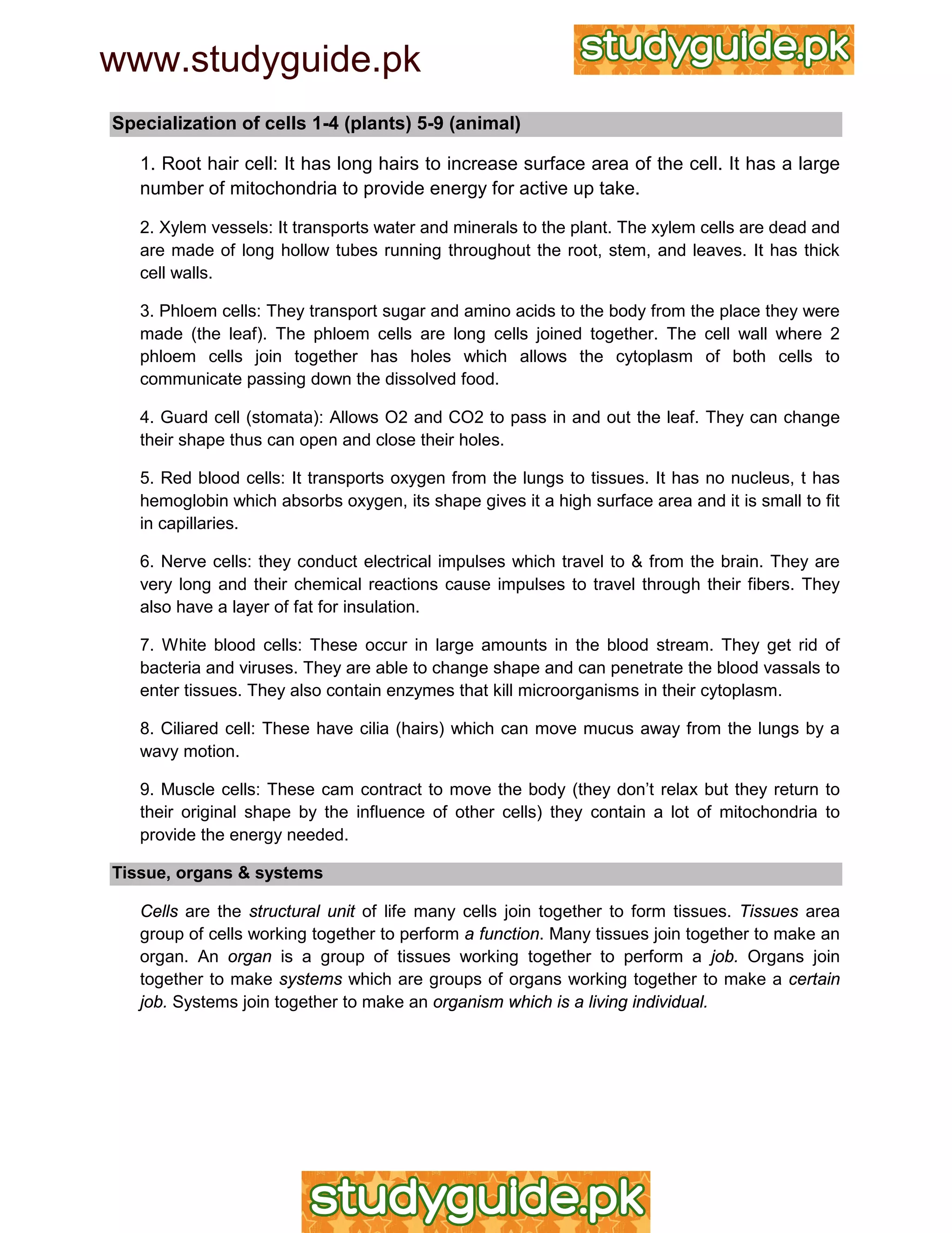 IGCSE Biology Revision Notes | PDF