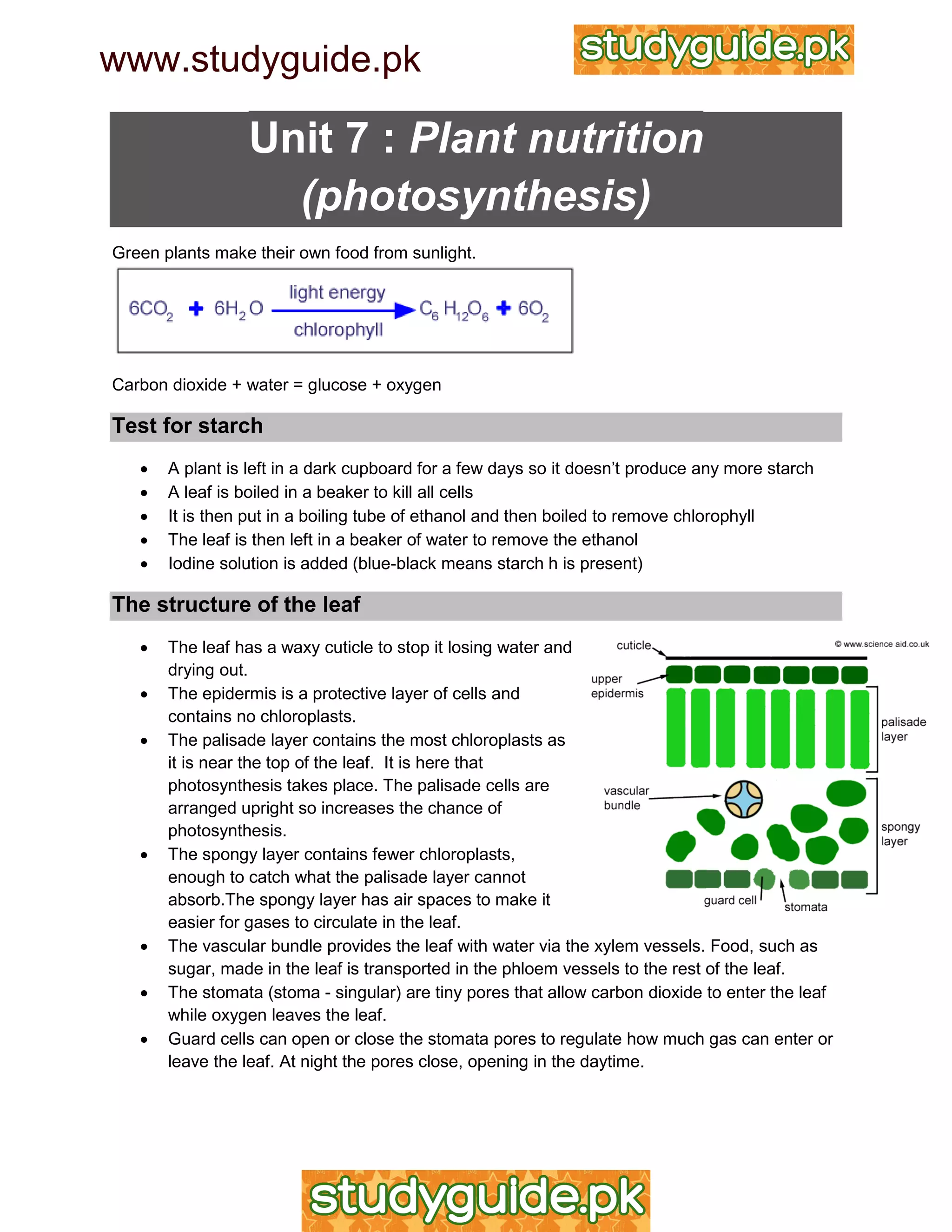 IGCSE Biology Revision Notes | PDF
