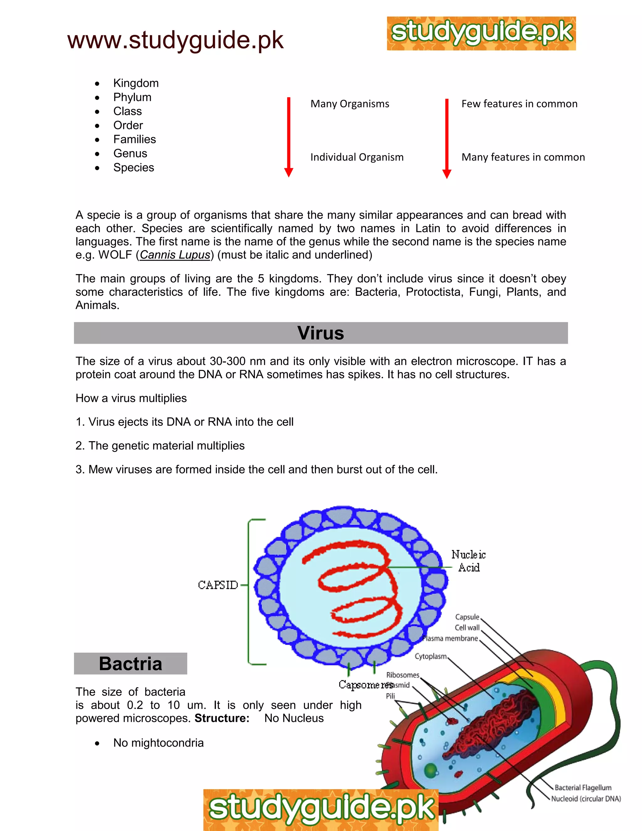 IGCSE Biology Revision Notes | PDF