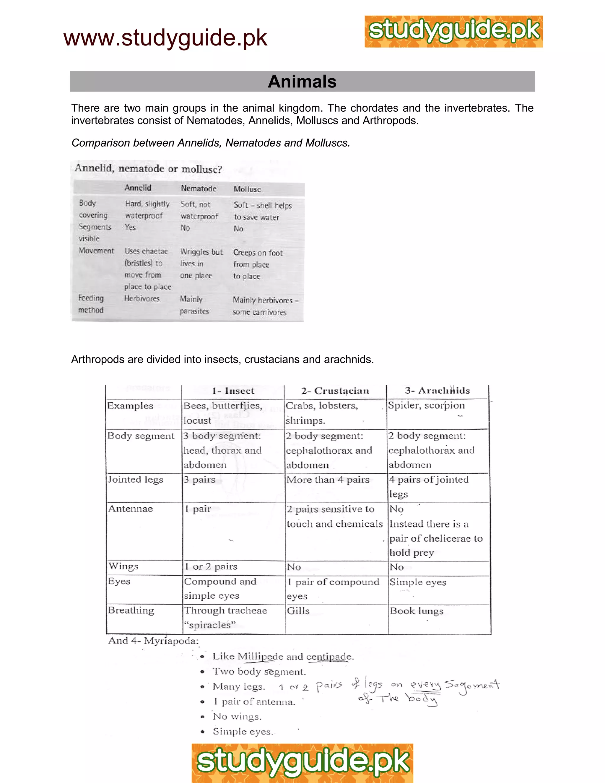 IGCSE Biology Revision Notes | PDF