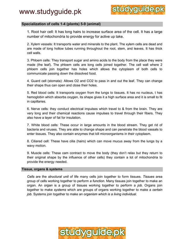 IGCSE Biology Revision Notes | PDF