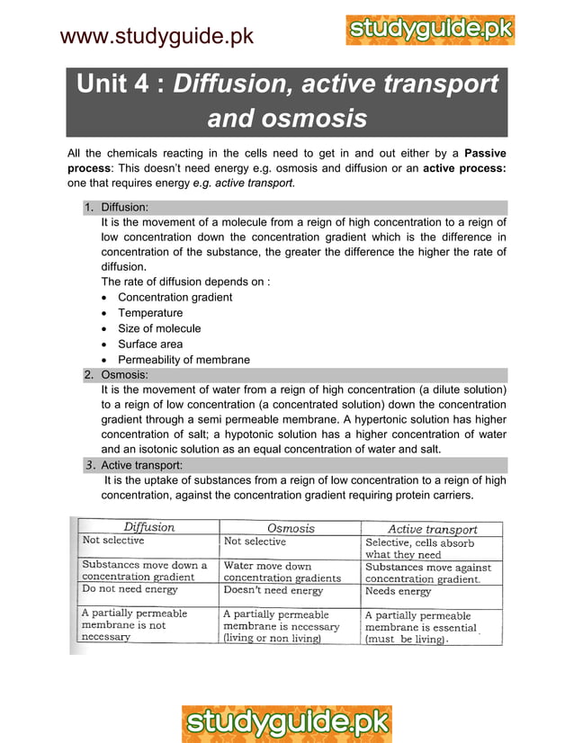 IGCSE Biology Revision Notes | PDF