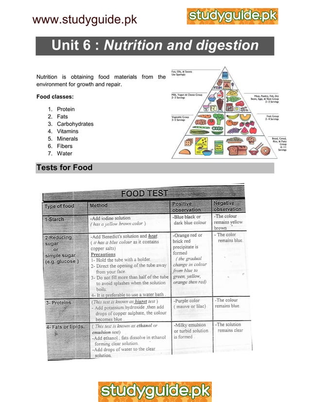 IGCSE Biology Revision Notes | PDF