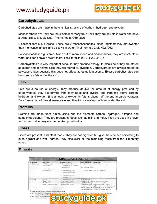 IGCSE Biology Revision Notes | PDF