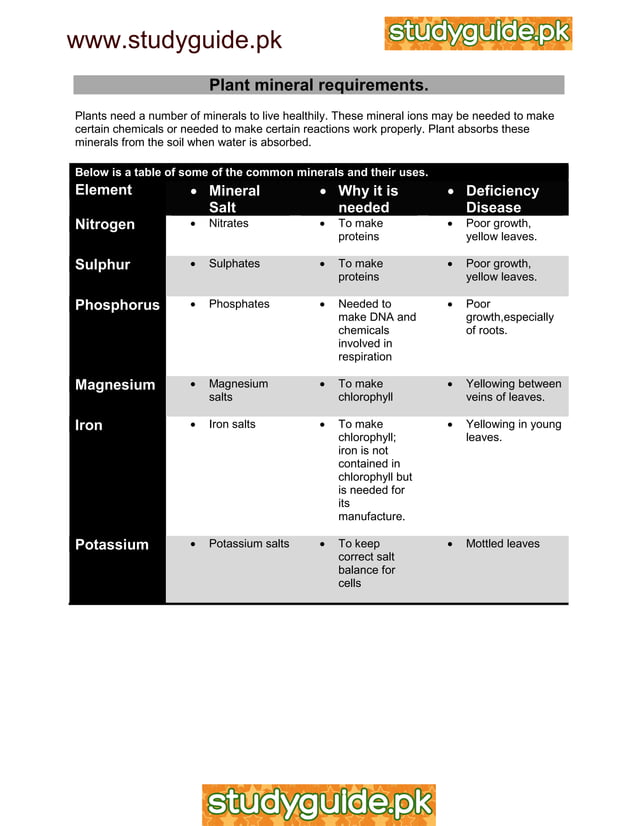 IGCSE Biology Revision Notes | PDF