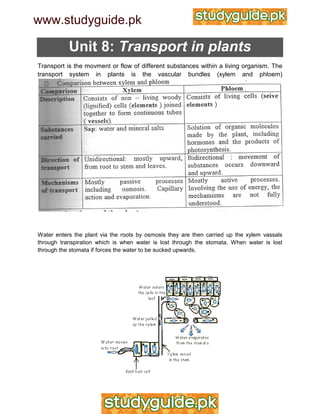 IGCSE Biology Revision Notes | PDF