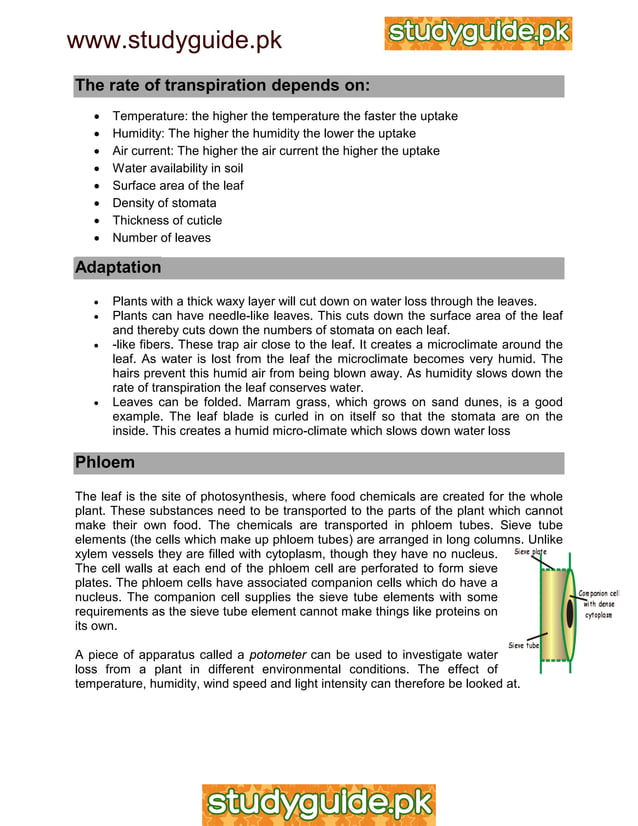 IGCSE Biology Revision Notes | PDF