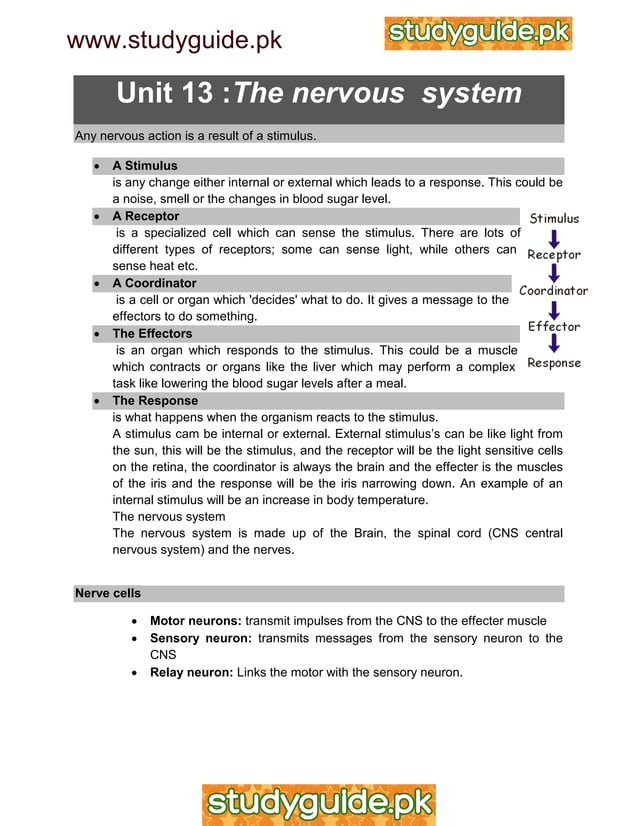 IGCSE Biology Revision Notes | PDF