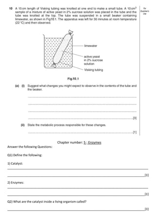 Igcse biology concepts revision chapter 1 to 8 | PDF