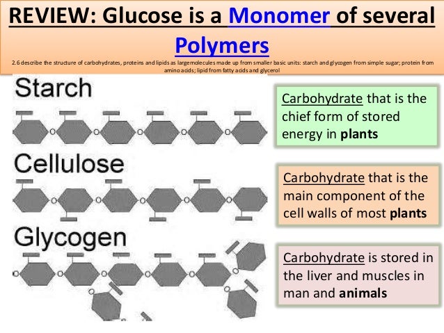 Monomer Examples