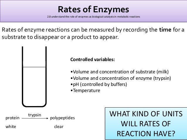 Igcse biology edexcel 2.1 2.16