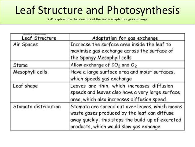 Igcse Biology Edexcel 2 39 2 43 Igcse Biology Edexcel 2 39 2 43