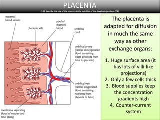Igcse biology edexcel 3.8 3.12