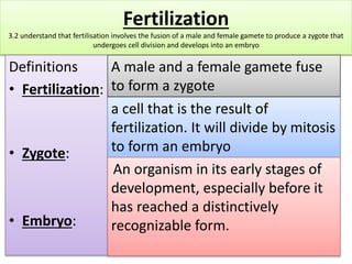 Igcse biology edexcel 3.8 3.12