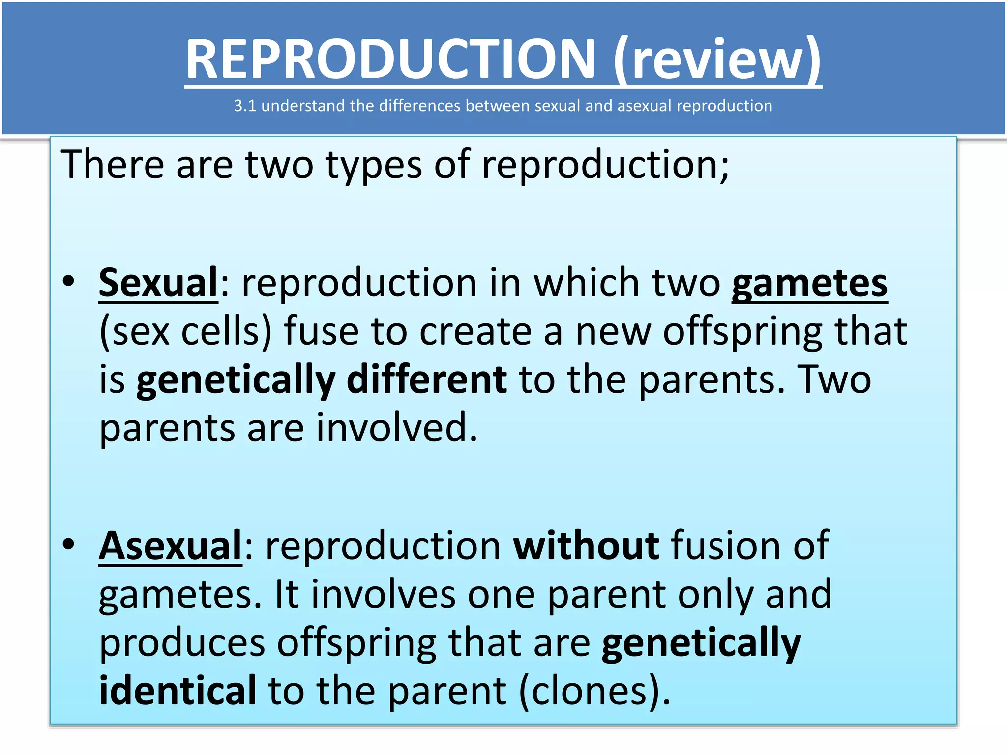 Igcse biology edexcel 3.13 3.33