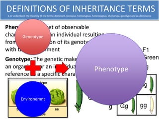 Igcse biology edexcel 3.13 3.33